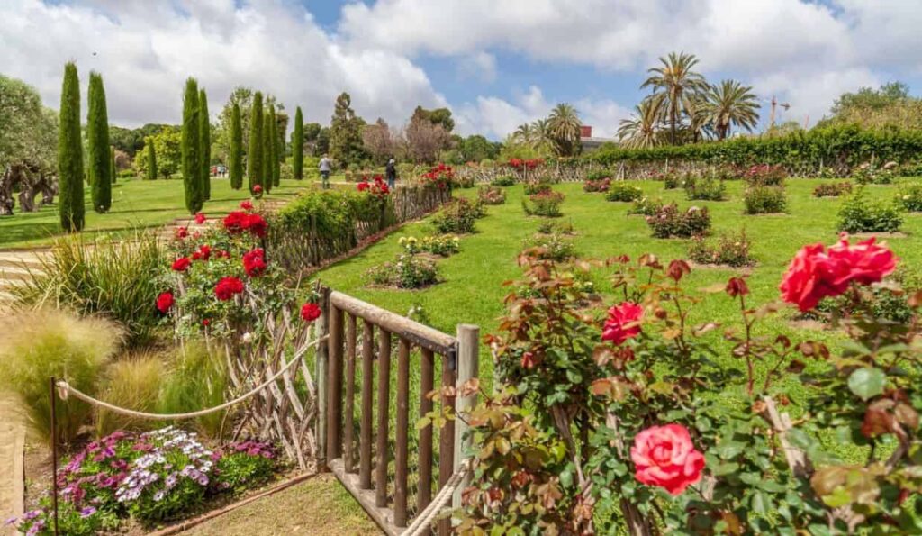 Que hacer y ver en Les Corts | Loca Barcelona