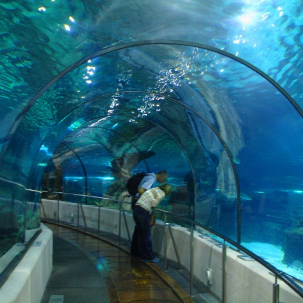 Visit the Barcelona Aquarium : Complete guide| Locabarcelona