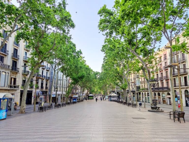 Visit Las Ramblas : Complete guide | Locabarcelona